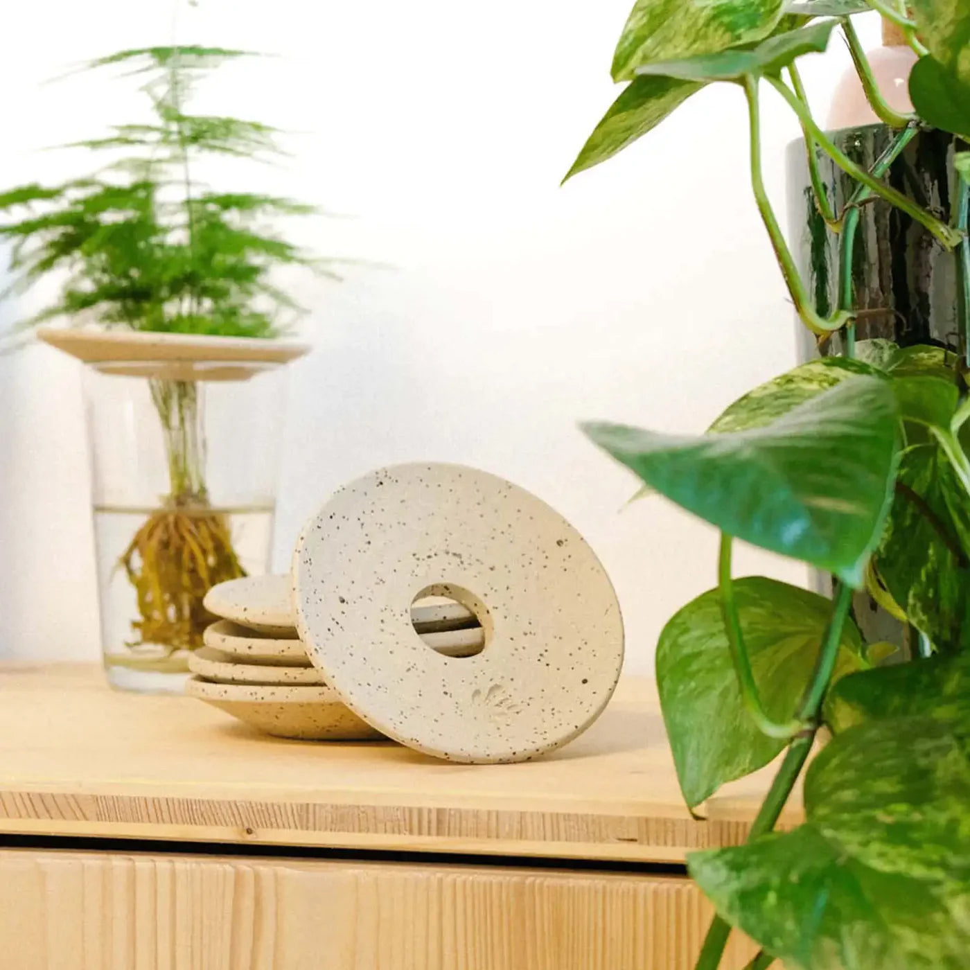 Aquaculture & Germination Plate – OFFLINETI.ME